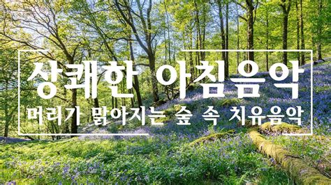 머리가 맑아지는 숲 속 치유음악 🎵 아침명상 음악 스트레스해소 음악 명상음악 힐링음악 스트레스 해소 음악 긴장이완음악 Vol29 Youtube