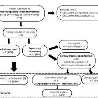 Flowchart Of Cases Included In The Study Download Scientific Diagram