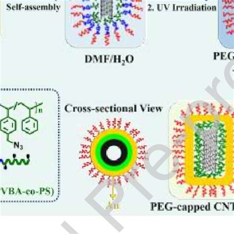 Stepwise Representation Of The Synthesis Of 1d Peg Capped Cnt X Ps Au Download Scientific Diagram