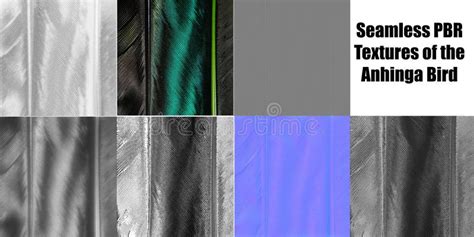 Seamless Realistic Anhinga Pbr Texture 3d Design Texturing Pattern