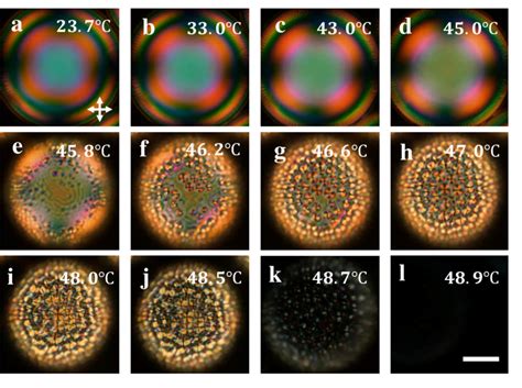 Figure S6 Transmission Pom Images Polarizer Orientation Indicated In