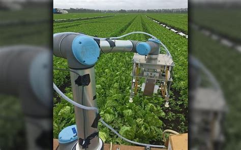 Robotic Arms Features And Applications Top D Shop