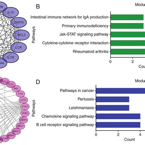 Top 2 Modules From The Protein Protein Interaction Network Analysis