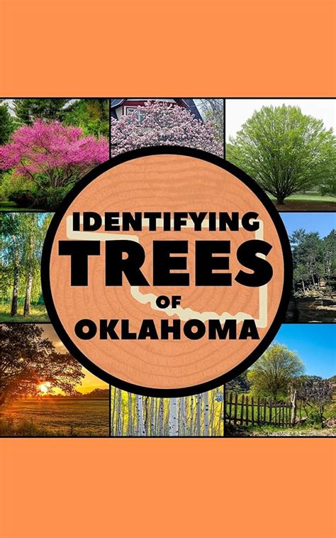 Oklahoma Tree Leaves Identification Tree Species Highlight Northern