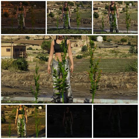 Addon Props Coca Plants Fivem Releases Cfxre Community