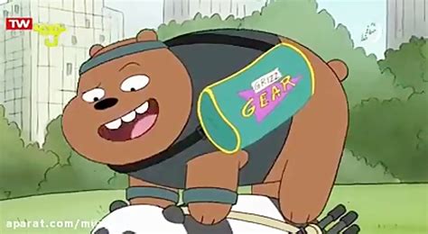 خرس های کله فندقی