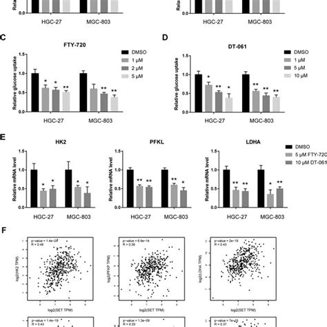 Increased Set And Cip2a Expression Are Associated With Reduced Pp2a Download Scientific Diagram