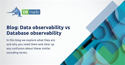 Blog Data Observability Vs Database Observability 🔍 Application