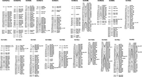Soybean Genetic Linkage Map Constructed Using 485 Molecular Markers