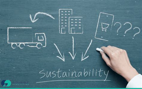 sustainable decision making evolveable consulting