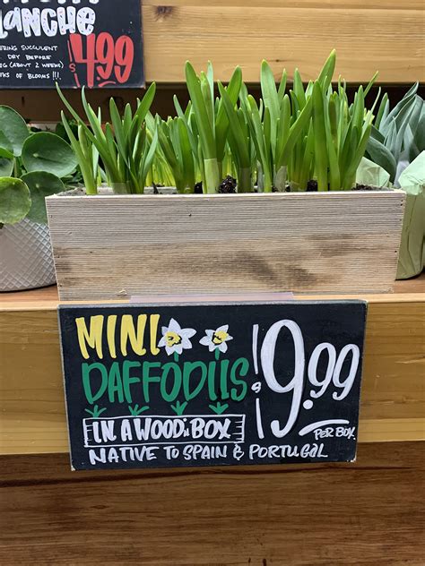 Trader Joes Signs On Behance