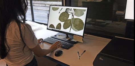 Abdulwakeel Ayokun Nun Ajao On Linkedin Colonialism Has Shaped Scientific Plant Collections