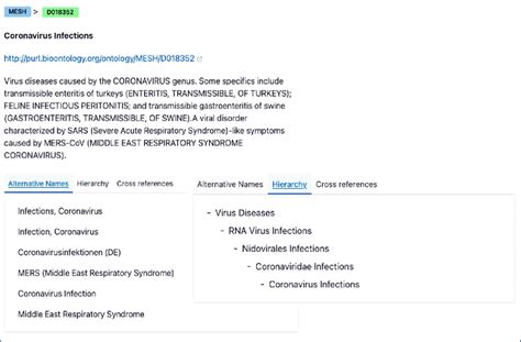 Semantic Information Widget Component The Widget Example Shows Download Scientific Diagram