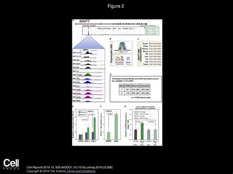 Volume Issue Pages April Ppt Download