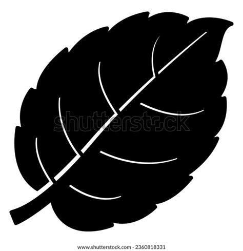 Jagged Edge Leaves Over 158 Royalty Free Licensable Stock Vectors And Vector Art Shutterstock