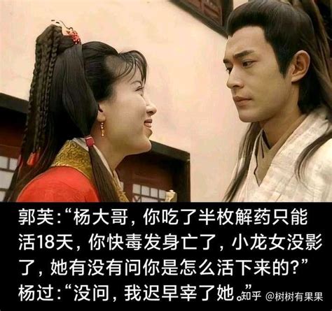 杨过和小龙女，都是自作自受 知乎