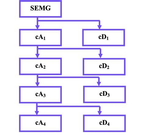 Four Levels Discrete Wavelet Decomposition Tree Download Scientific
