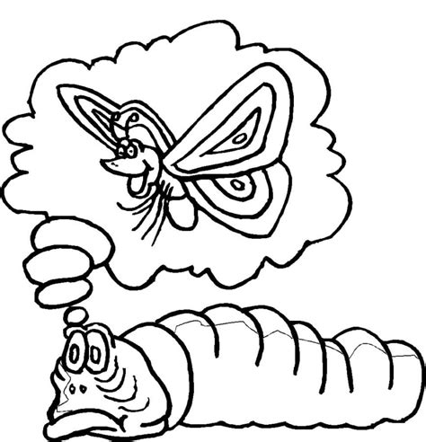 Dibujos De Oruga Para Colorear