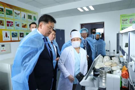 Монгол Улсын Ерөнхийлөгч У Хүрэлсүх Хөнгөн аж үйлдвэрийн салбарыг хөгжлийн шинэ шатанд гаргана