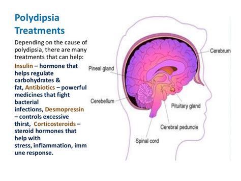 Ch 11 Polydipsia