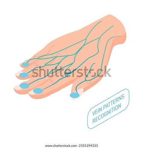 Vein Pattern Recognition Over 28 Royalty Free Licensable Stock Illustrations And Drawings