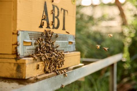 Willunga High School Added A New Photo Willunga High School