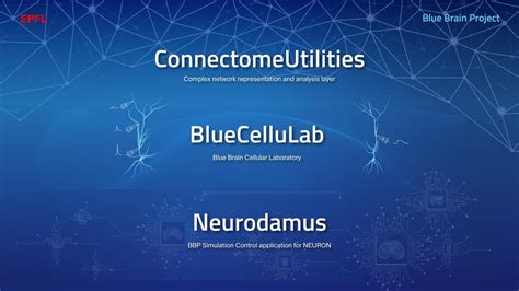 Empowering Neuroscientists New Open Source Tools For Modeling Epfl