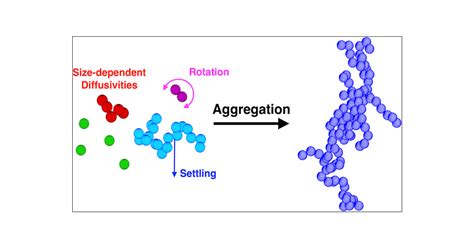 Toward A Realistic Model Of Diffusion Limited Aggregation Rotation