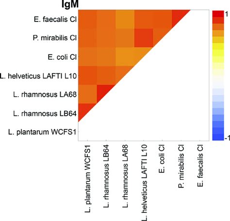 Graphic Representation Showing Correlation Coefficients Obtained By