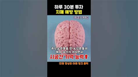 하루 30분 투자로 치매예방하는 방법 Youtube