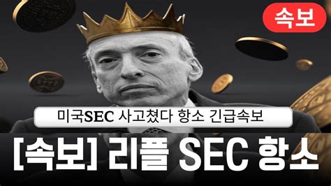 리플 코인 10분 전 속보 미국sec 리플에 항소했다 예상된 결과 향 후 대응전략은 리플목표가 리플호재 리플전망