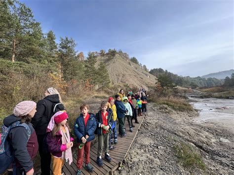 Praid Harghita 2022 Tabere Pe Terra