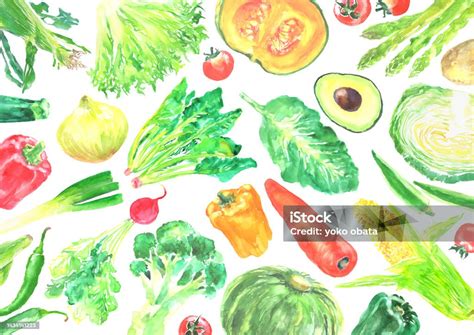 수채화로 칠해진 다양한 신선한 채소의 배경 그림 채소에 대한 스톡 벡터 아트 및 기타 이미지 채소 수채화 건강한 식생활 Istock