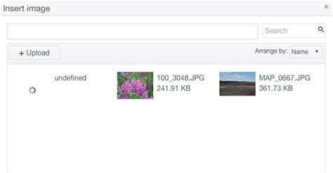 Image Rails Kendo UI ImageBrowser Successful Upload But Undefined Thumbnail Stack Overflow