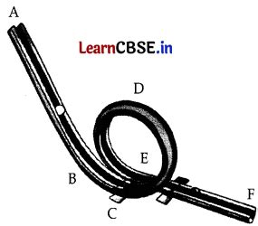 Measurement of Length and Motion Class 6 Worksheet with Answers Science Chapter 5 - Learn CBSE