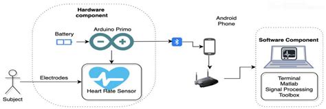 Information Mdpi On Linkedin Highlyaccessedarticle Ecg Wavelet