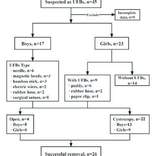 Flow Chart Of The Study Download Scientific Diagram
