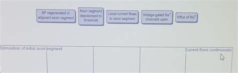 Solved Stimulation Of Initial Axon Segment Current Flows
