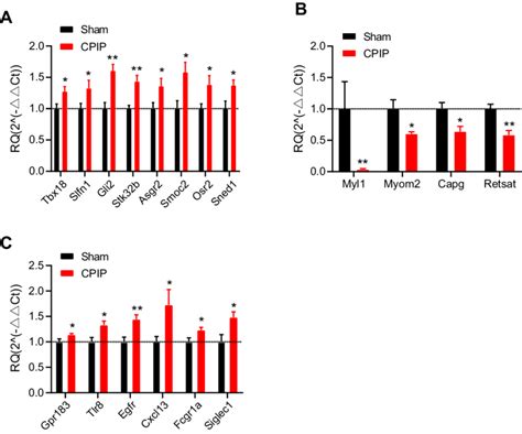 Validating The Rna Seq Results By Means Of Qpcr A And B Qpcr Download Scientific Diagram