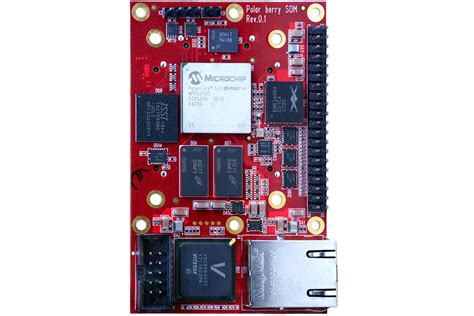 PolarBerry FPGA RISC Platform