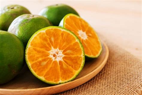 Penderita Asam Urat Wajib Tahu Berikut Sejuta Manfaat Jeruk Nipis Untuk Mengatasinya