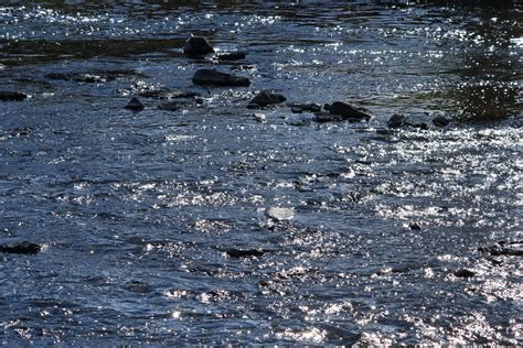 River Water – Photos Public Domain