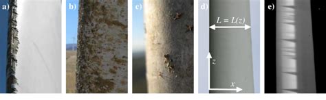 Problem Description A C Wind Turbine Rotor Blades With Typical Download Scientific Diagram