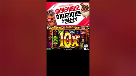 슬롯3형제 하이라이트 1 Youtube