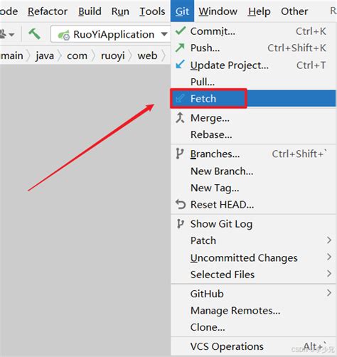 intellij idea中刷新git分支数据：操作指南与命令详解 技术栈