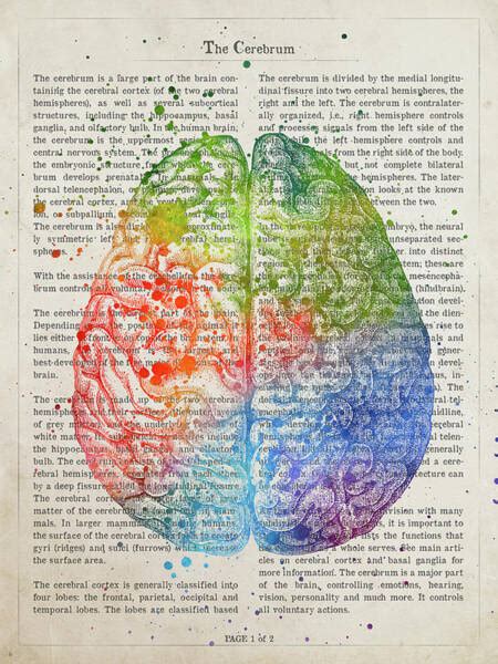Cortex Posters For Sale Fine Art America