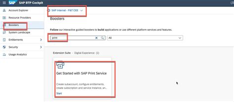 Test Btp Sap Print Service With Postman