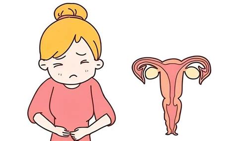 Linzagolix Choline A Superior Api For Endometriosis And Fibroids Shandong Loncom