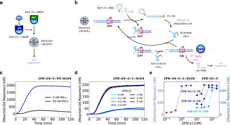 Sensitive Protein Detection With Amplified Comparators A Circuit Download Scientific Diagram