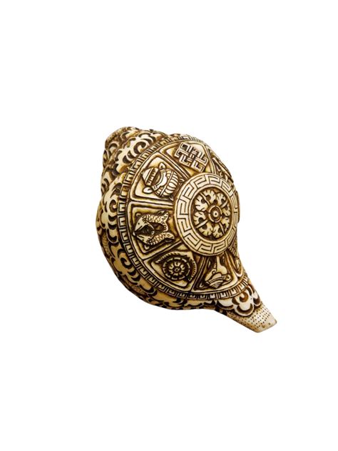 Conch Shell With Ashtamangala Hand Carved Price Us90 Conch Shell